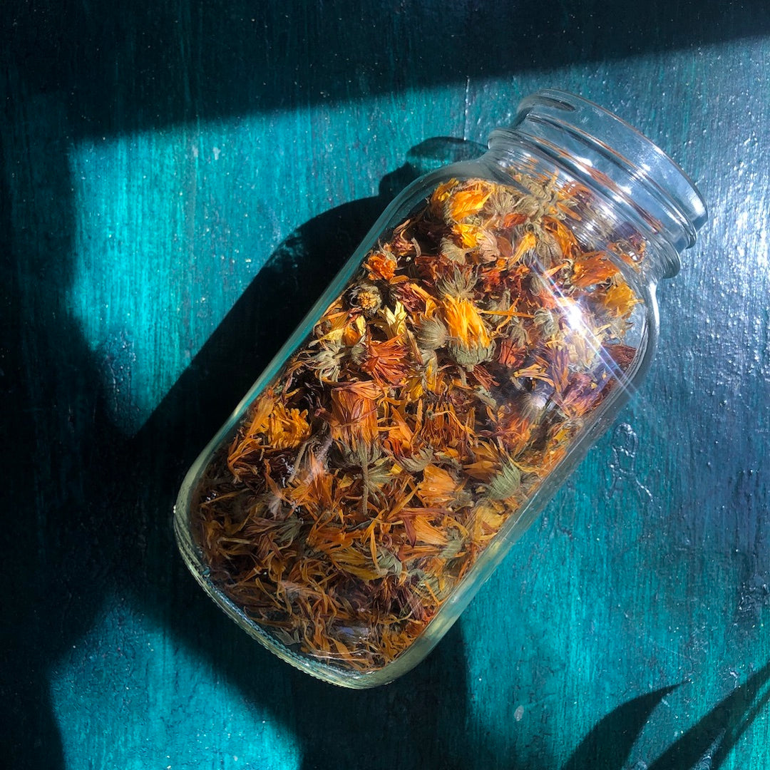 Why Calendula Should Be In Your Skincare Products – Embody Apothecary Why Calendula Should Be In Your Skincare Products – Embody Apothecary